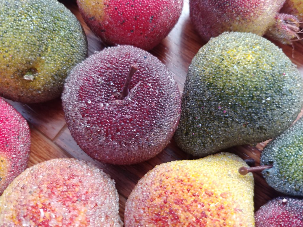 Why Apples? A Tale of Eden and Christmas Trees - M.B. HENRY